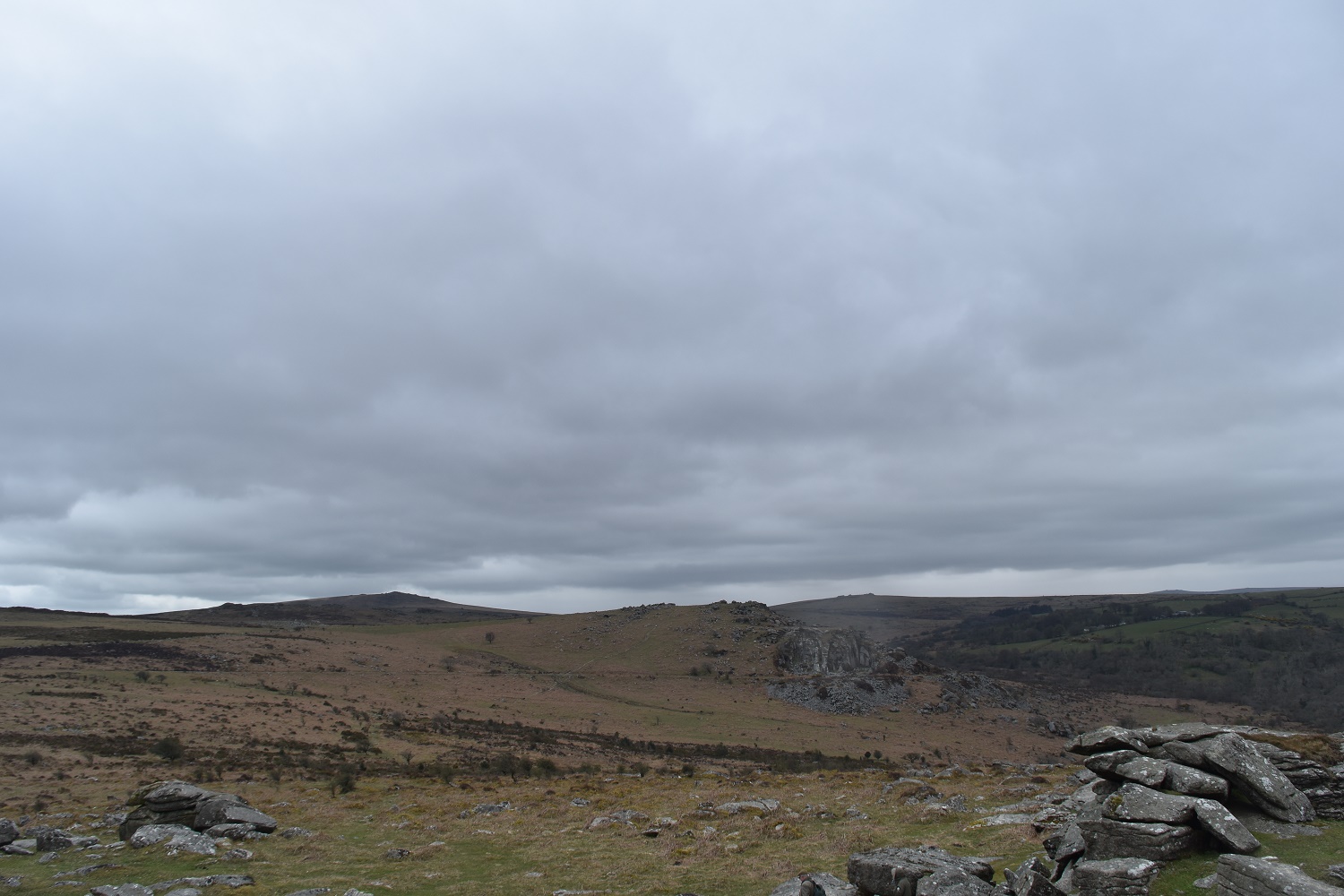 Holwell Tor | treksandtors
