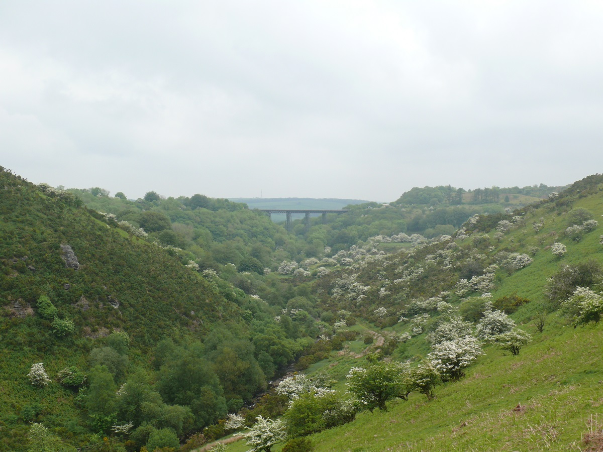 Meldon Reservoir and Dam | treksandtors