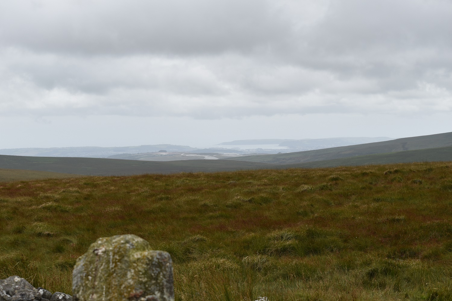 Western White Barrow | treksandtors