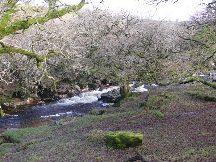 Cadover Bridge to Shaugh Bridge and back | treksandtors