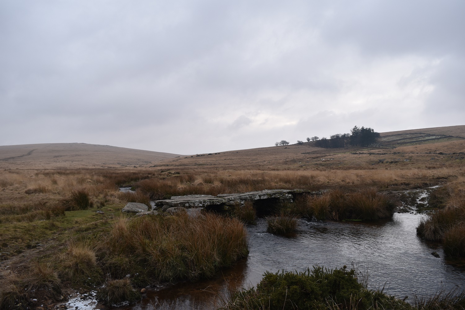 Teignhead Farm Clapper Bridge | treksandtors