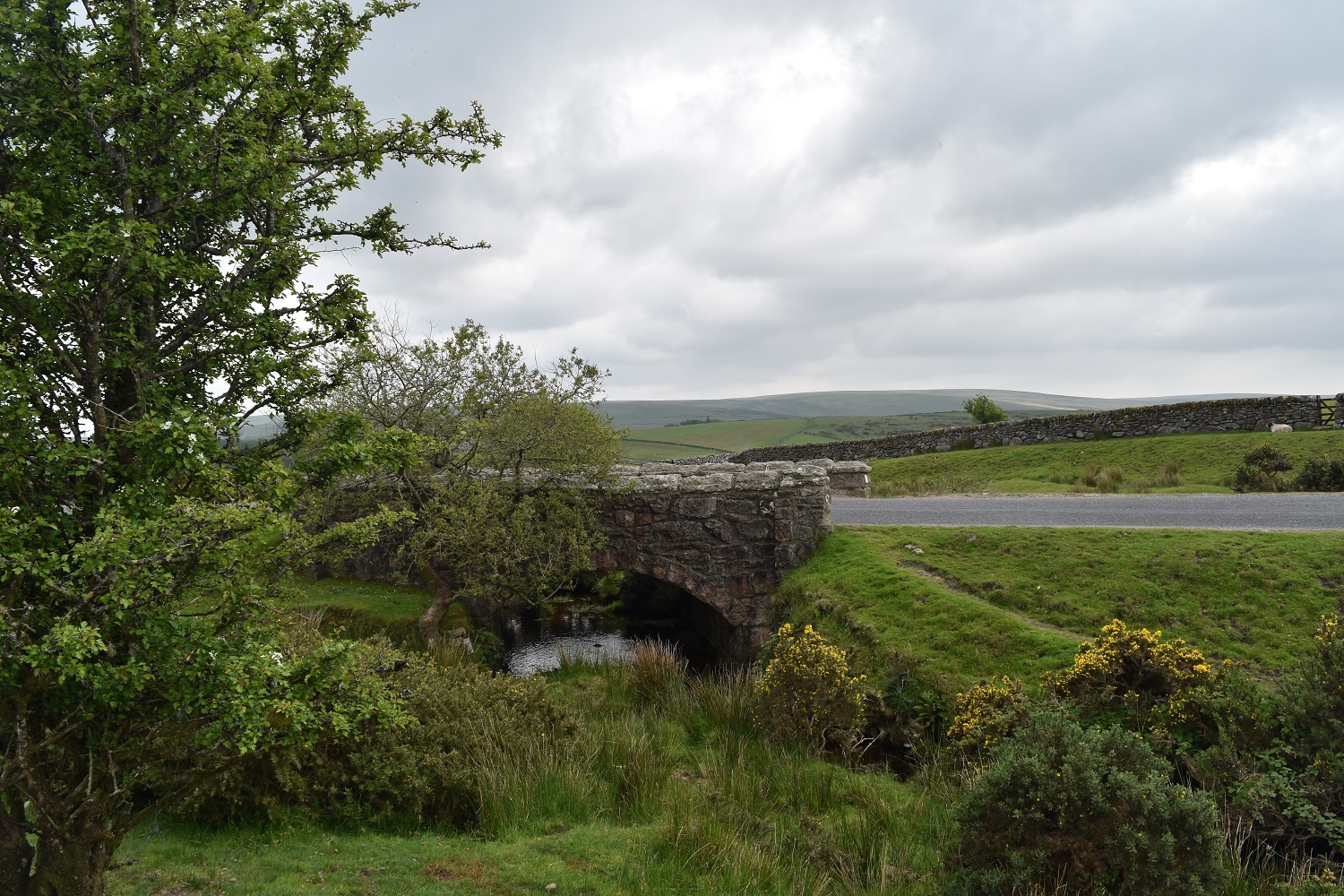 Dunna Bridge | treksandtors