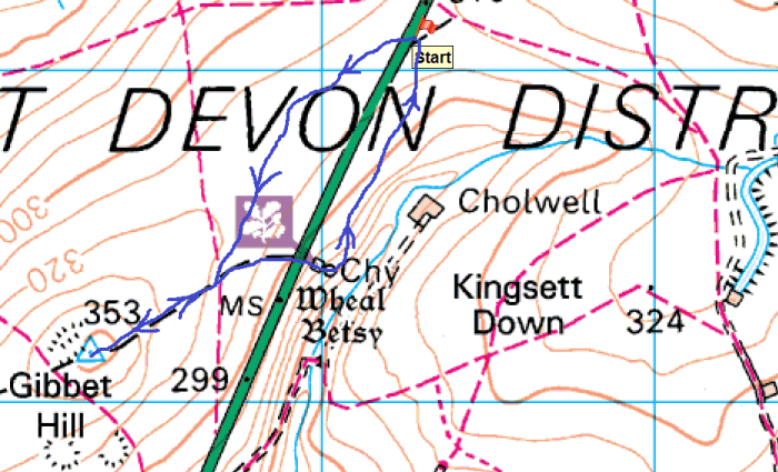 Gibbet Hill and Wheal Betsy | treksandtors