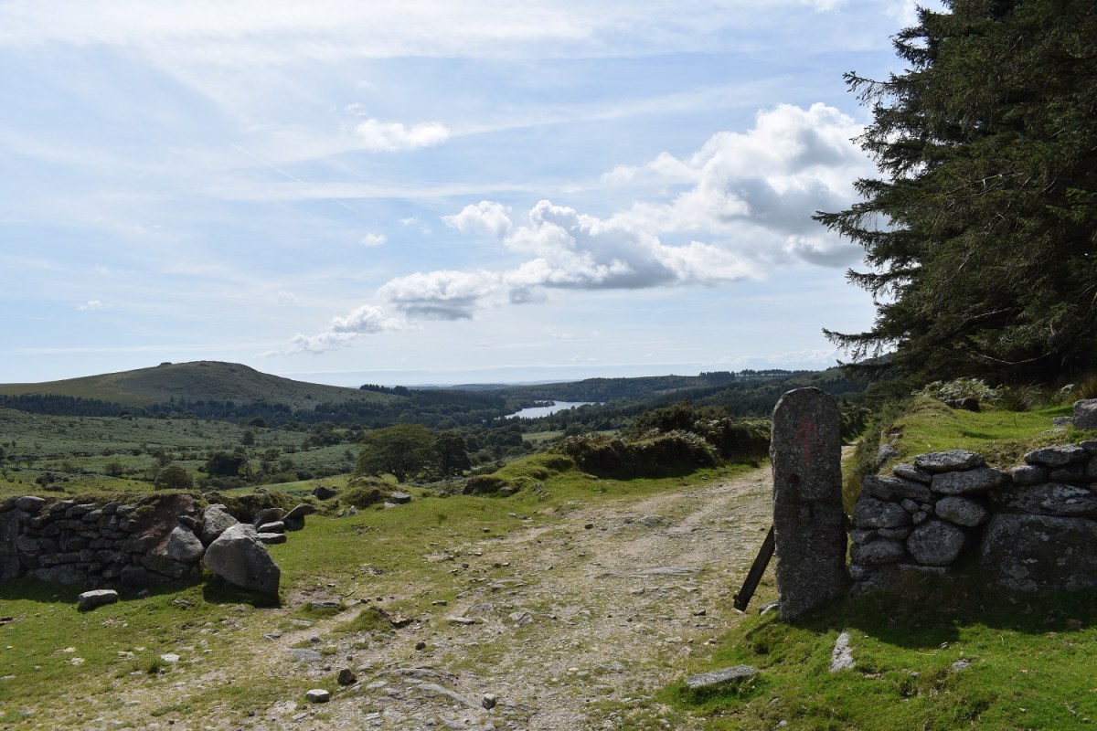 Cramber Tor and South Hessary Tor | treksandtors
