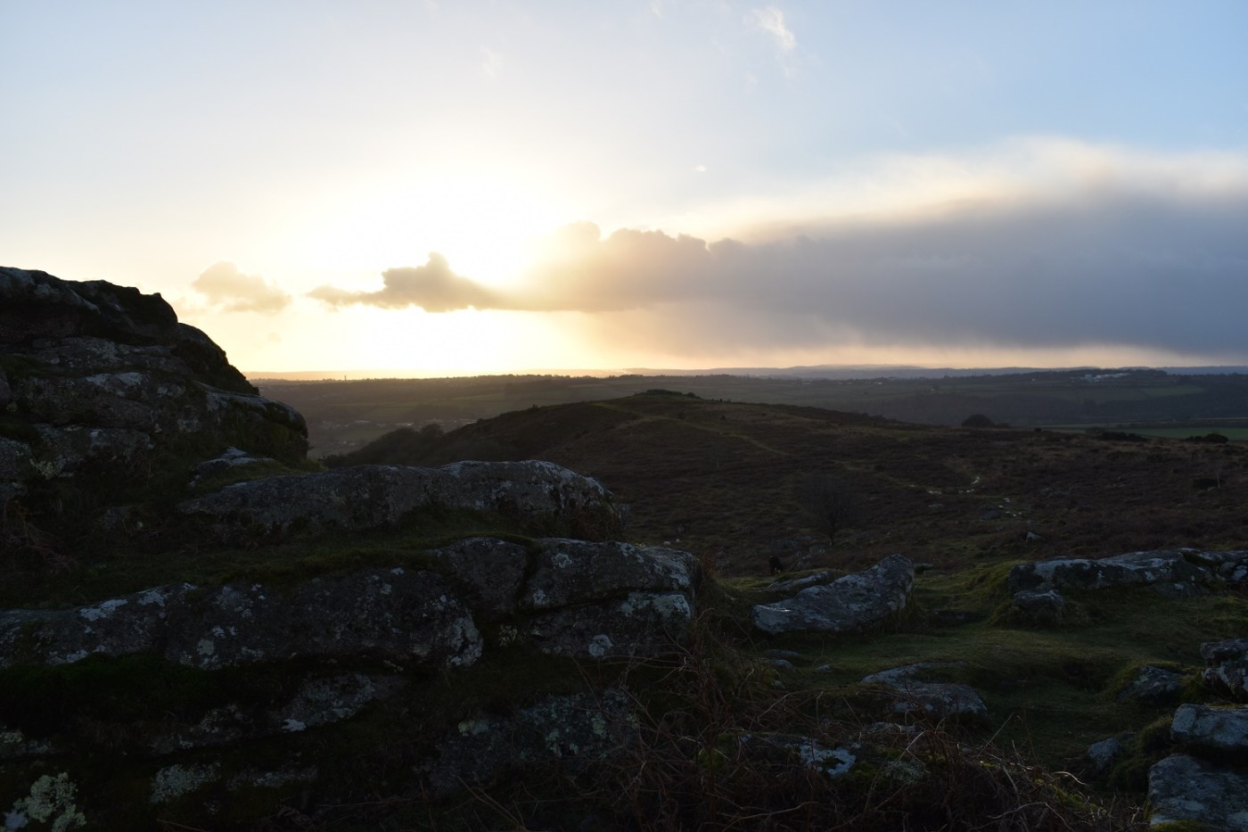 Glorious walk from Cadover Bridge to Shaugh Bridge and back | treksandtors