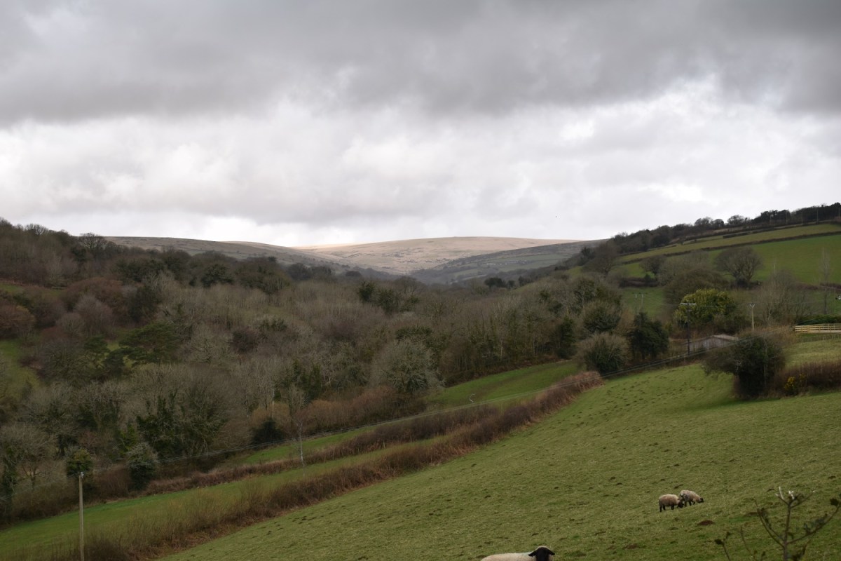 Spring around Brent Hill | treksandtors