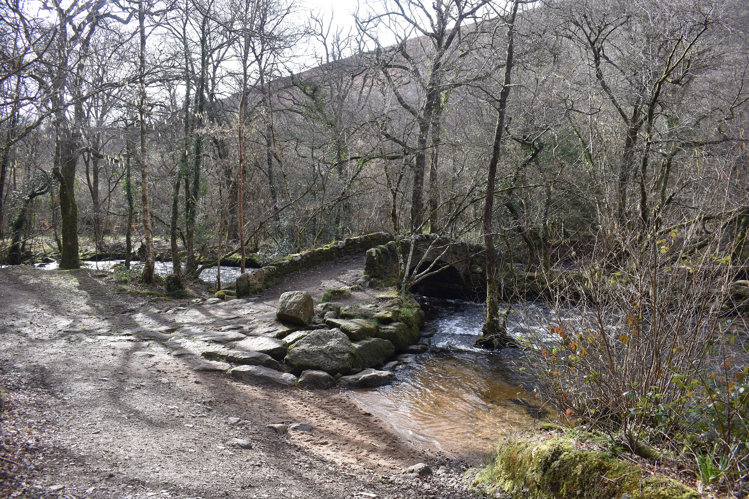 Hisley Bridge | treksandtors