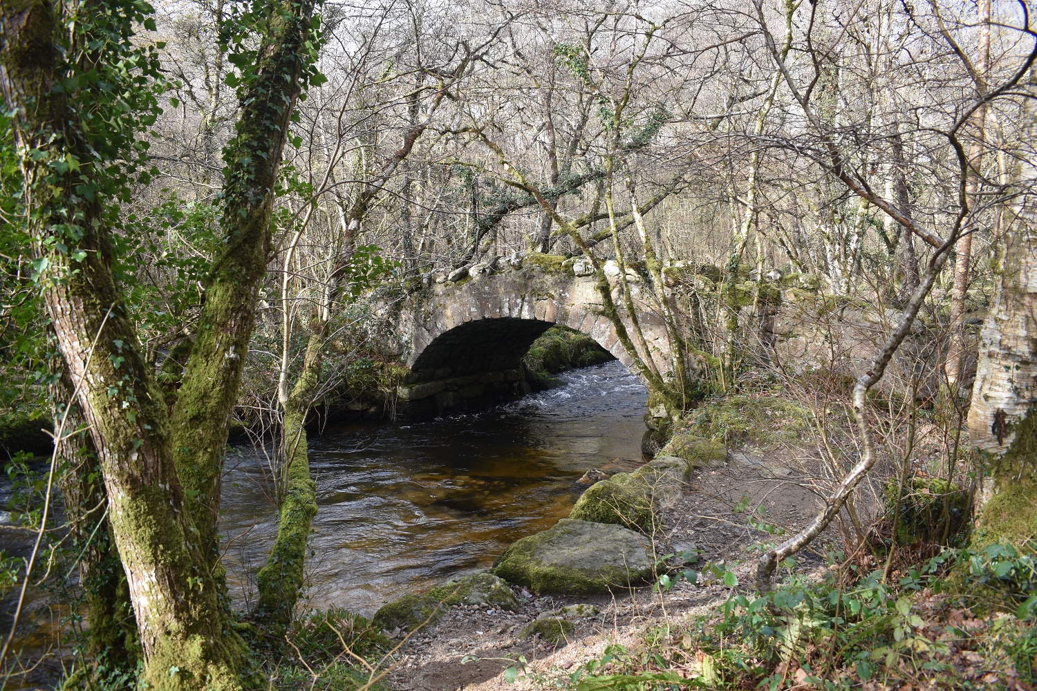 Hisley Bridge | treksandtors