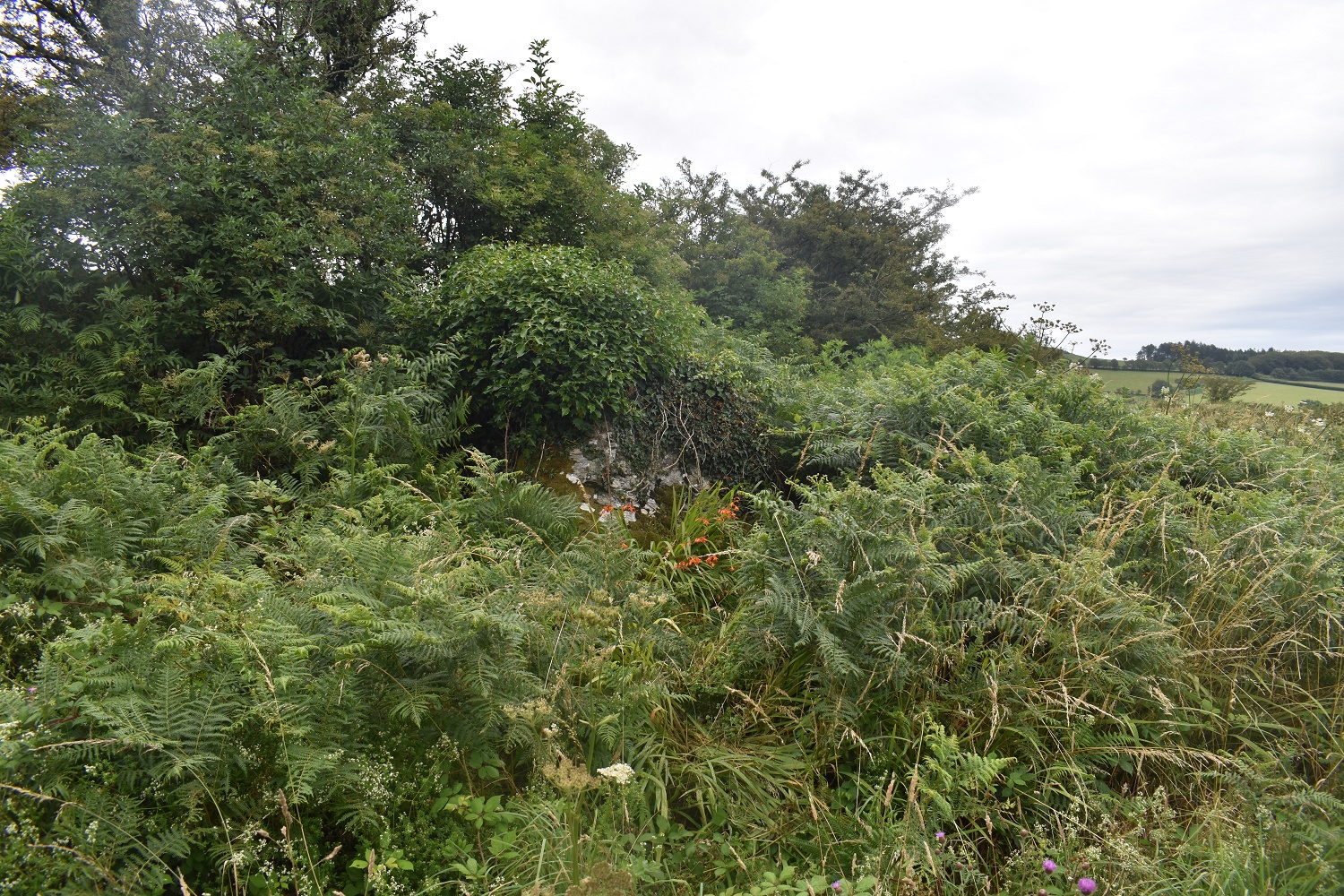 Gipsy Rock | treksandtors