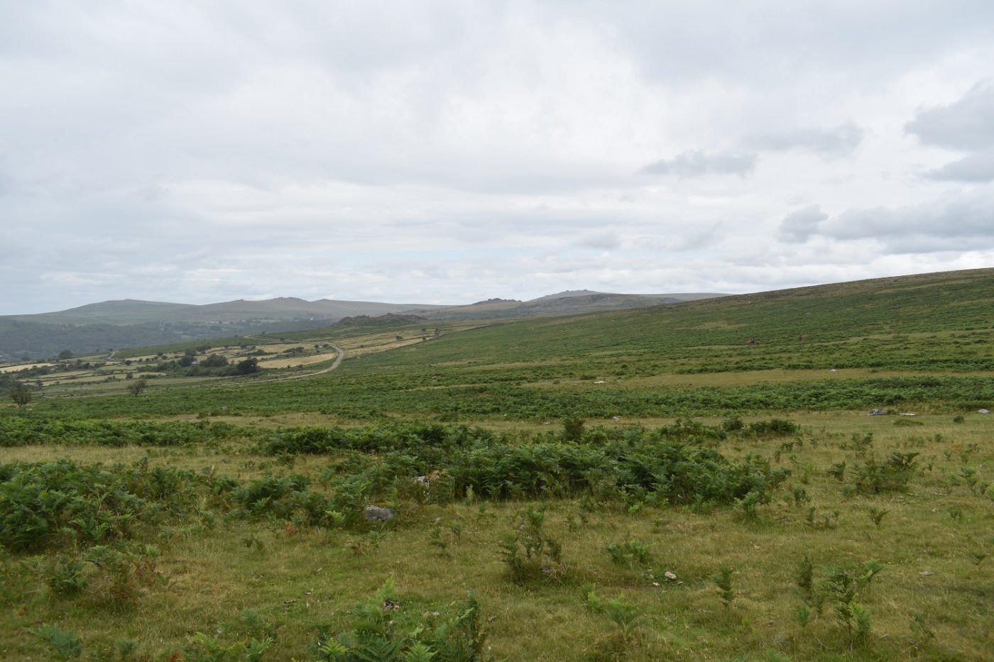 Gipsy Rock and Leeden Tor | treksandtors