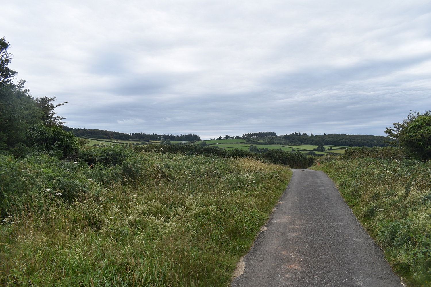 Gipsy Rock | treksandtors