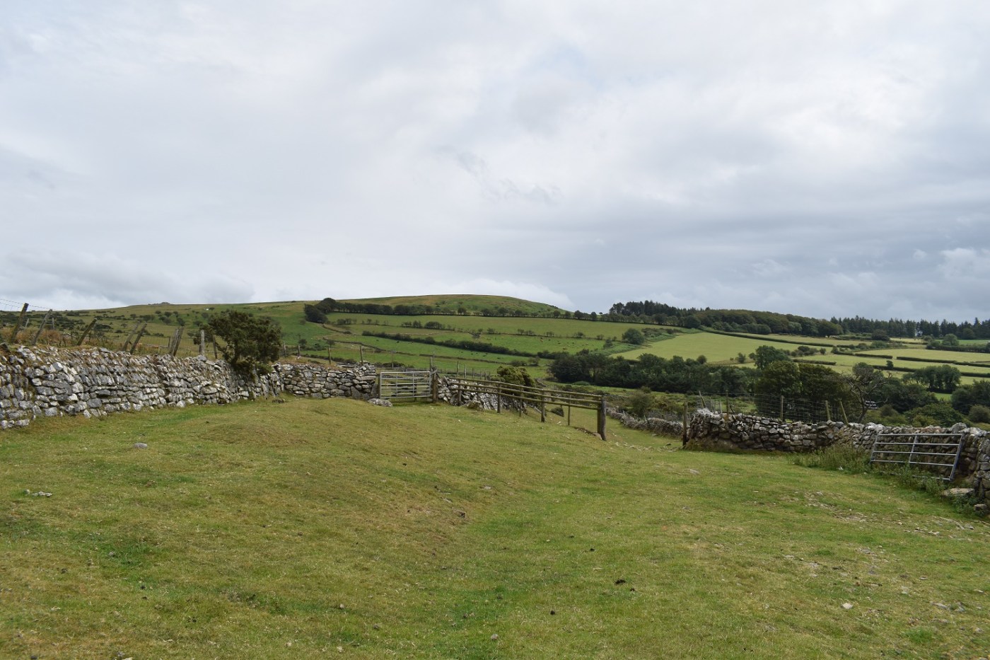 Gipsy Rock and Leeden Tor | treksandtors