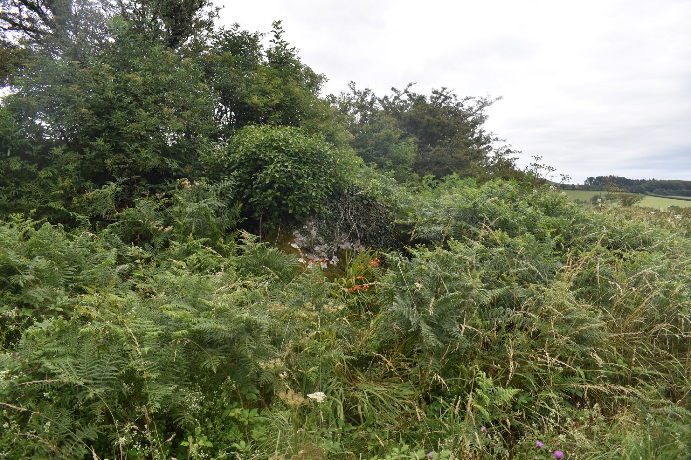 Gipsy Rock and Leeden Tor | treksandtors