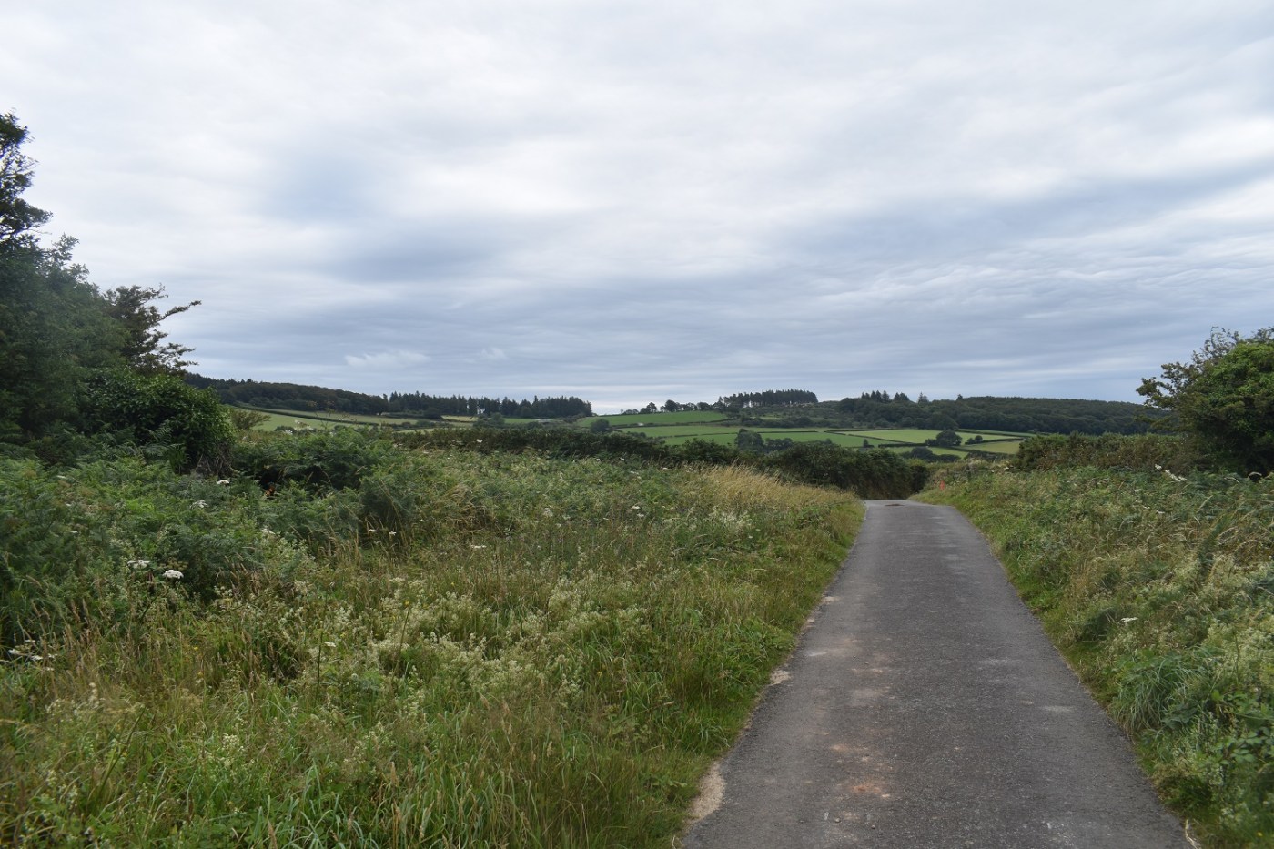 Gipsy Rock and Leeden Tor | treksandtors