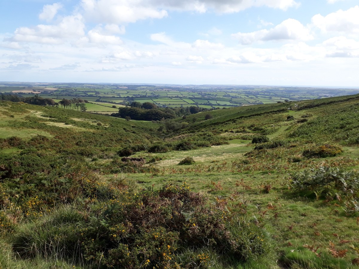 Western Beacon and Ugborough Beacon | treksandtors