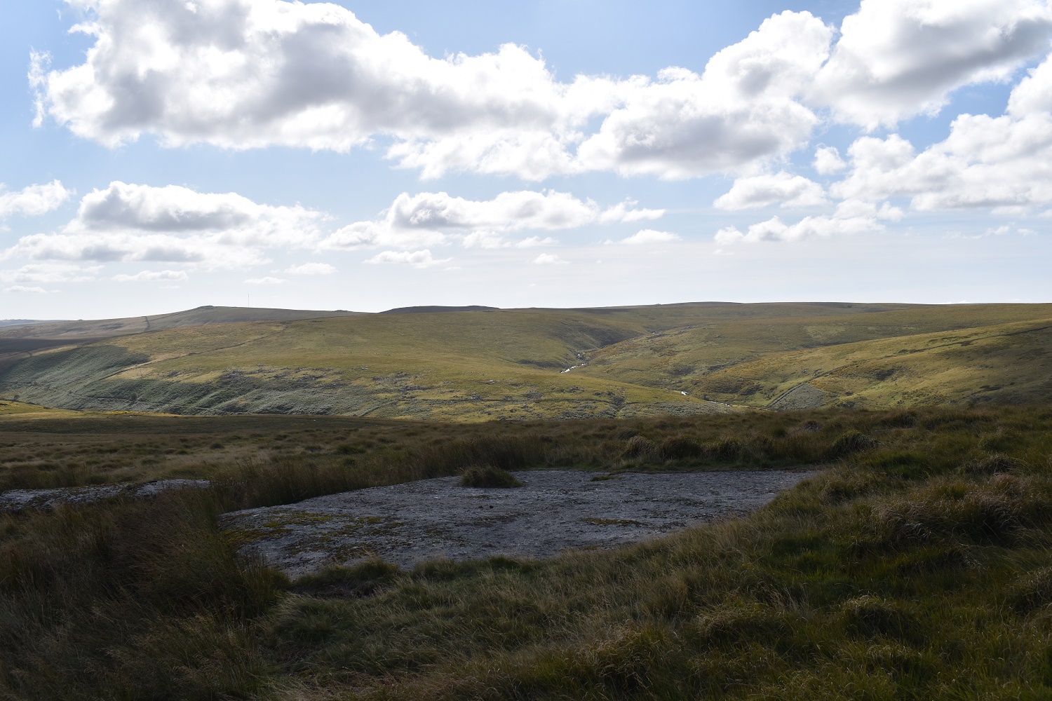 White Ridge Tor | treksandtors