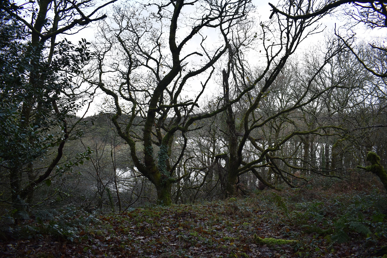 Slade Rocks | treksandtors