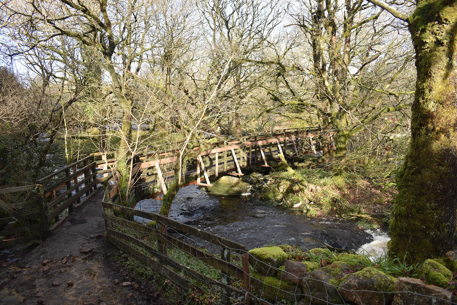 Standon Steps Bridge | treksandtors