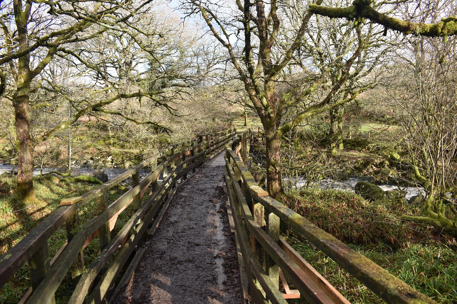 Standon Steps Bridge | treksandtors