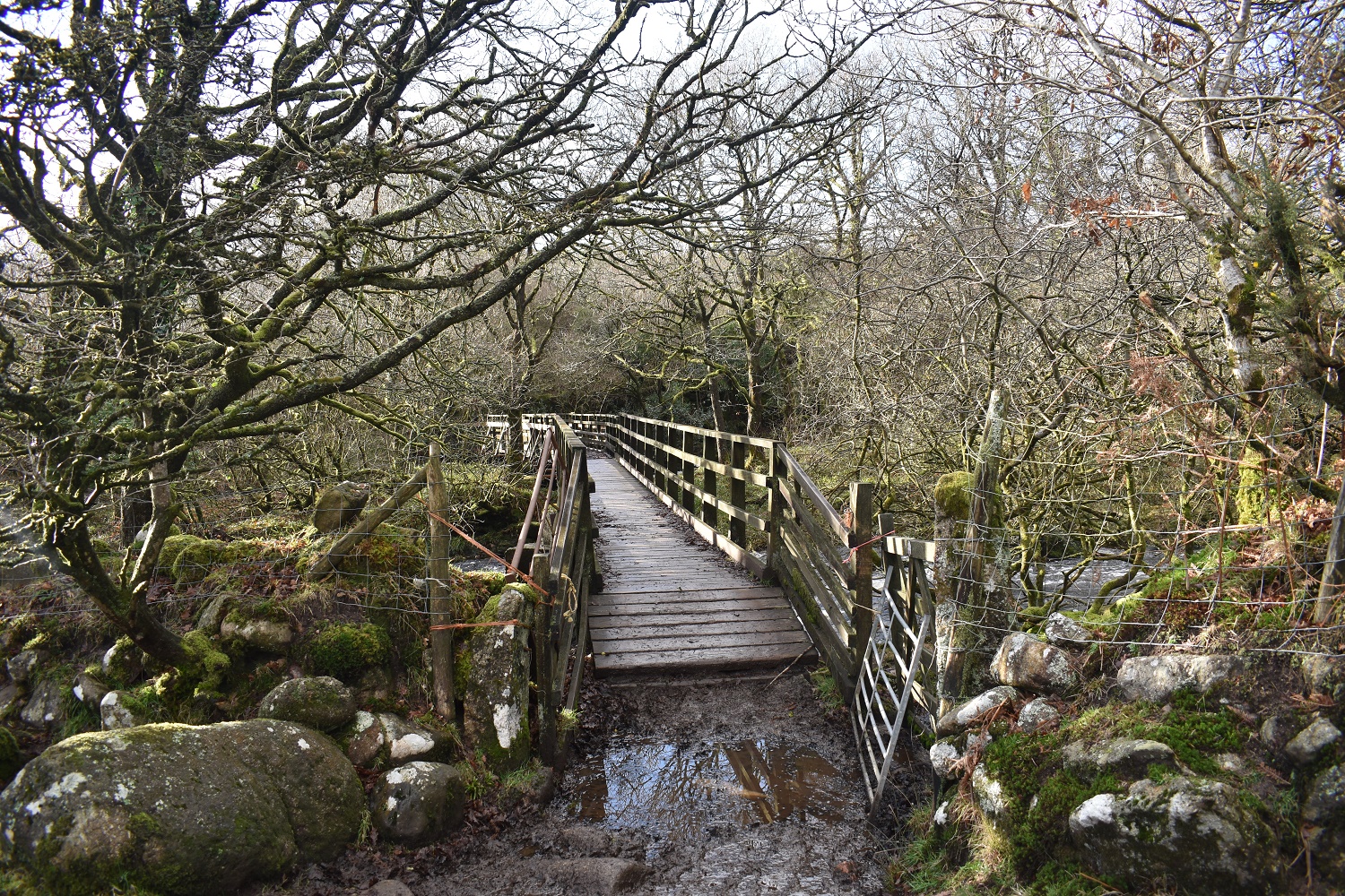 Standon Steps Bridge | treksandtors