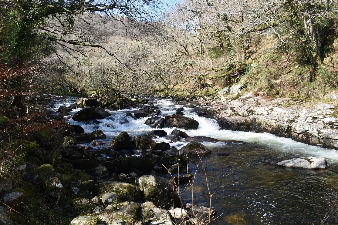 A walk around Holne before the lockdown | treksandtors