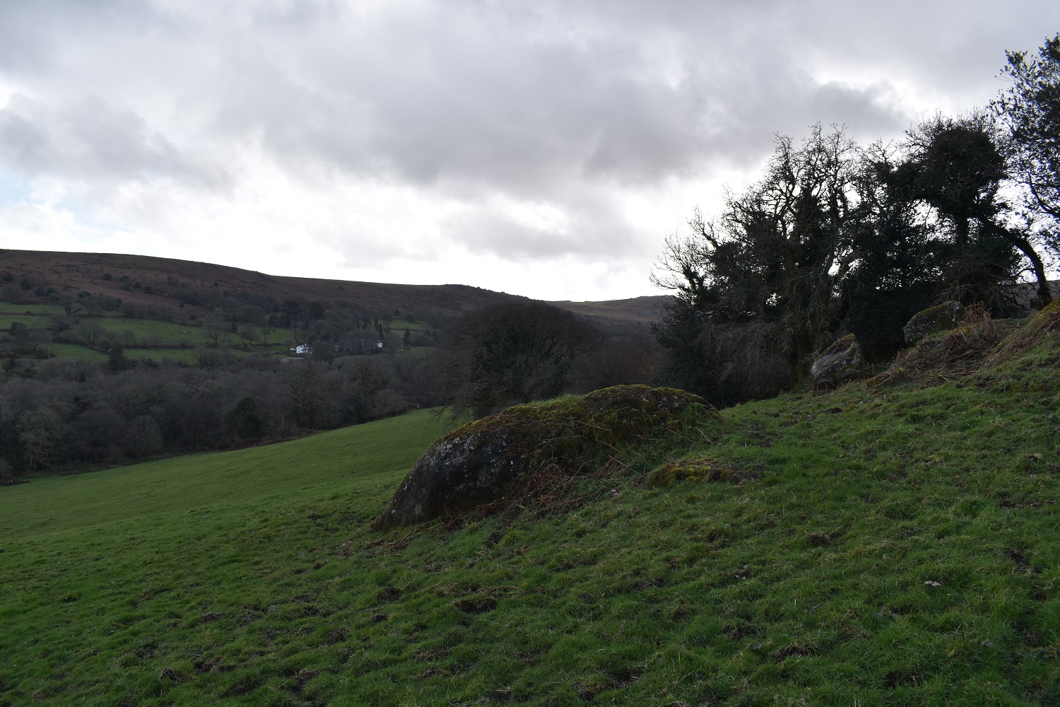 Long Heales Tor | treksandtors