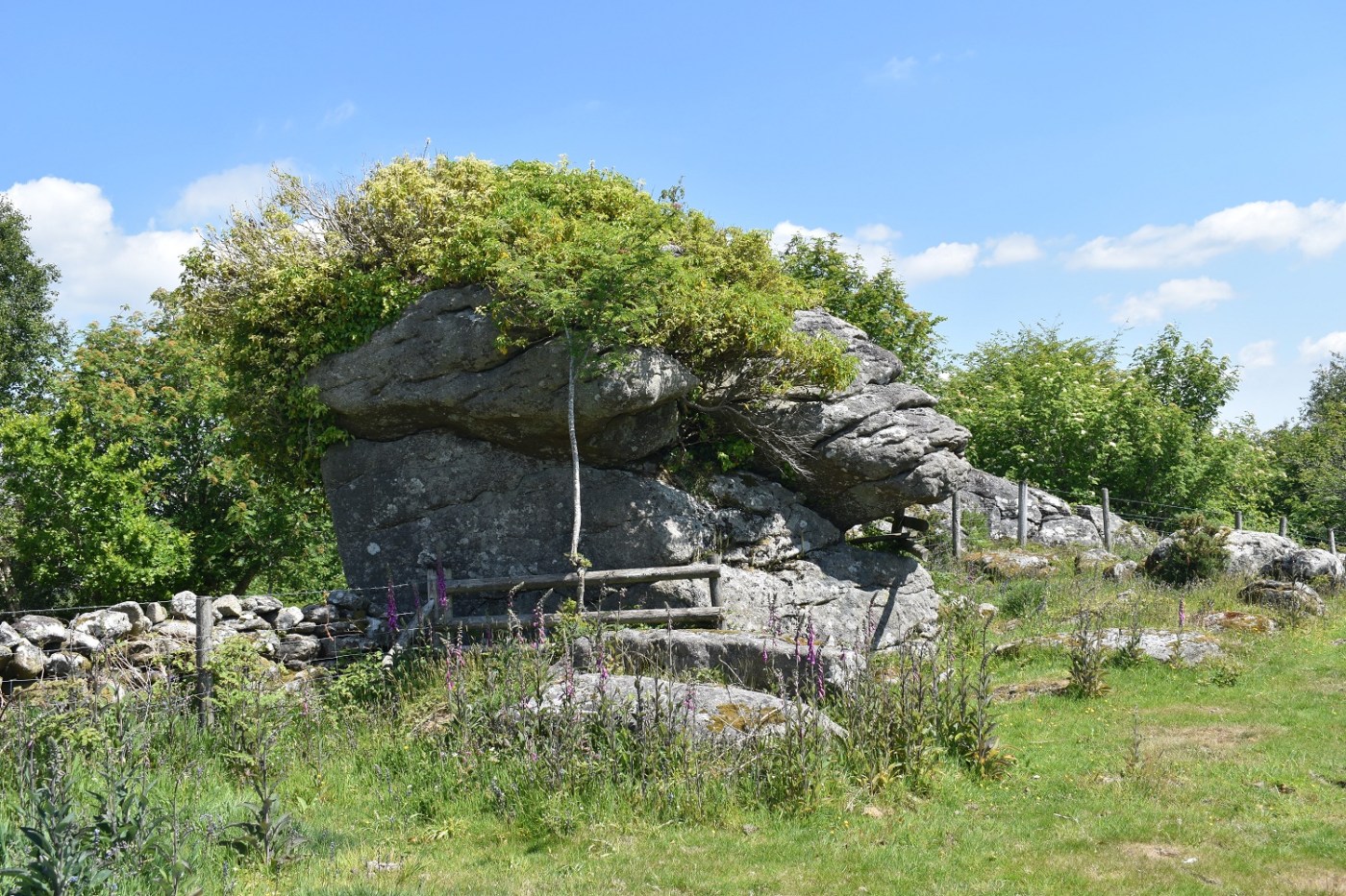 Easdon Tor, Neadon Cleave and Manaton | treksandtors