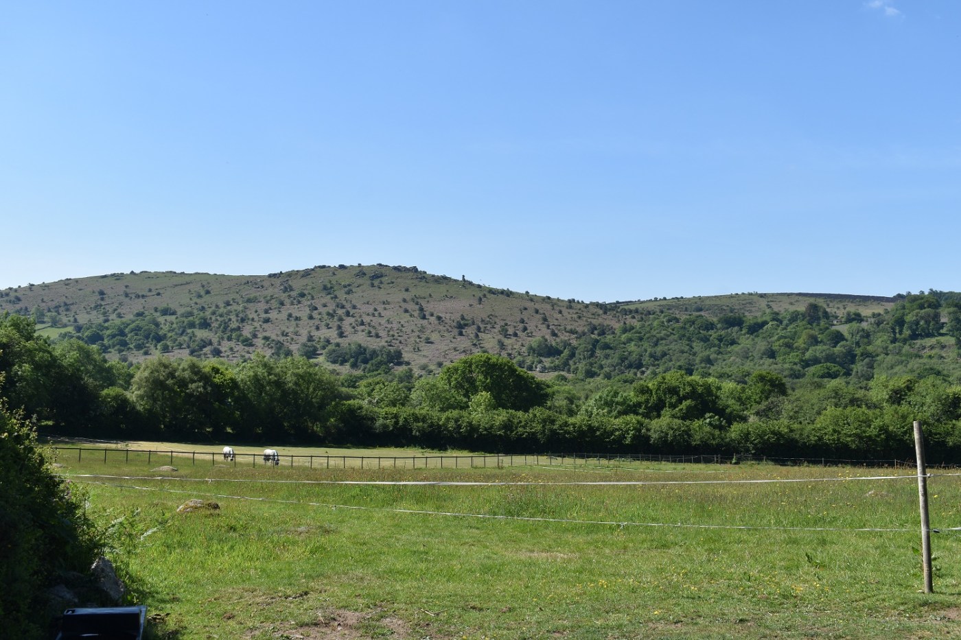Easdon Tor, Neadon Cleave and Manaton | treksandtors