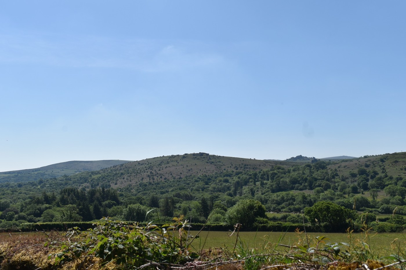 Easdon Tor, Neadon Cleave and Manaton | treksandtors