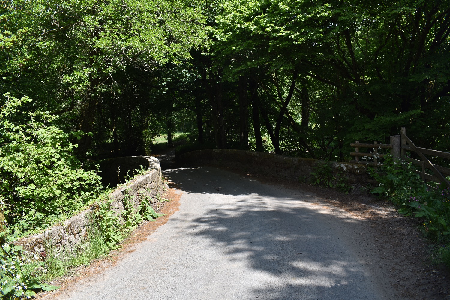 Manaton Clapper Bridge | treksandtors