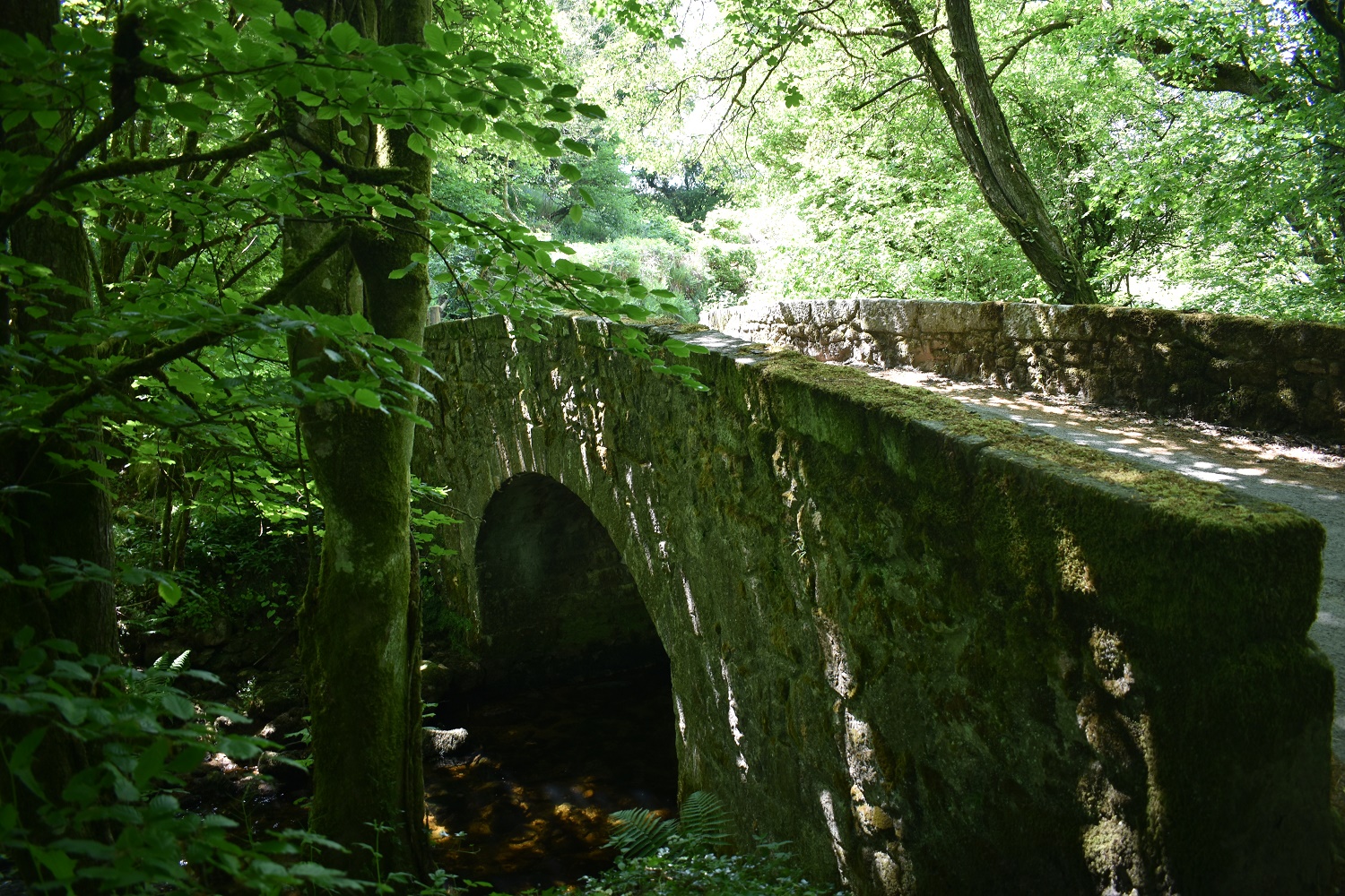 Manaton Clapper Bridge | treksandtors