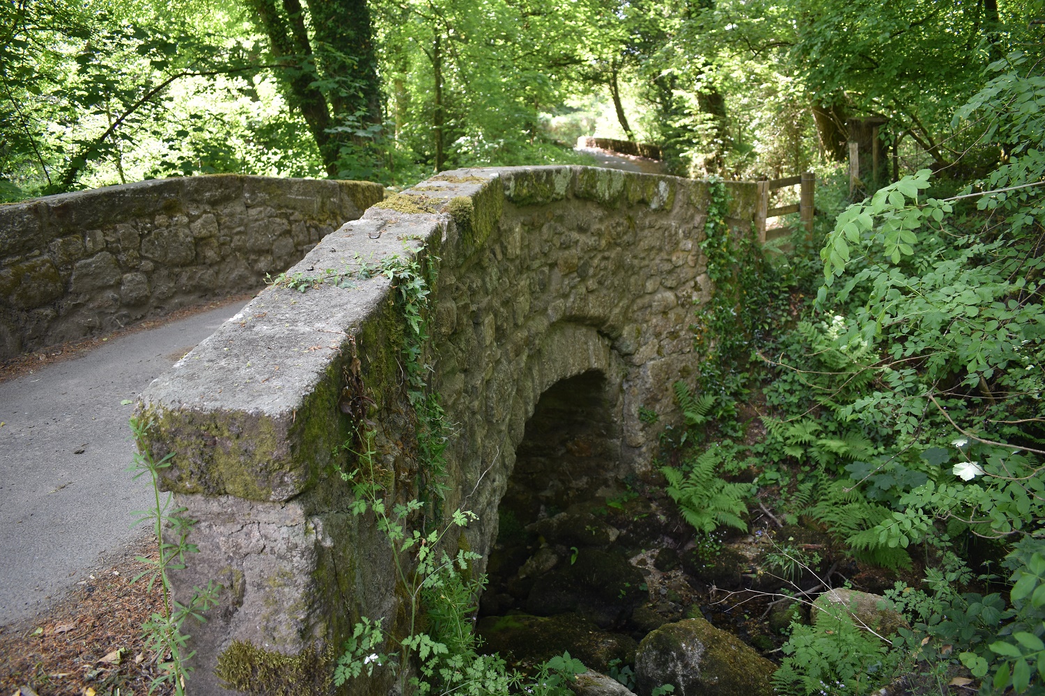 Manaton Clapper Bridge | treksandtors
