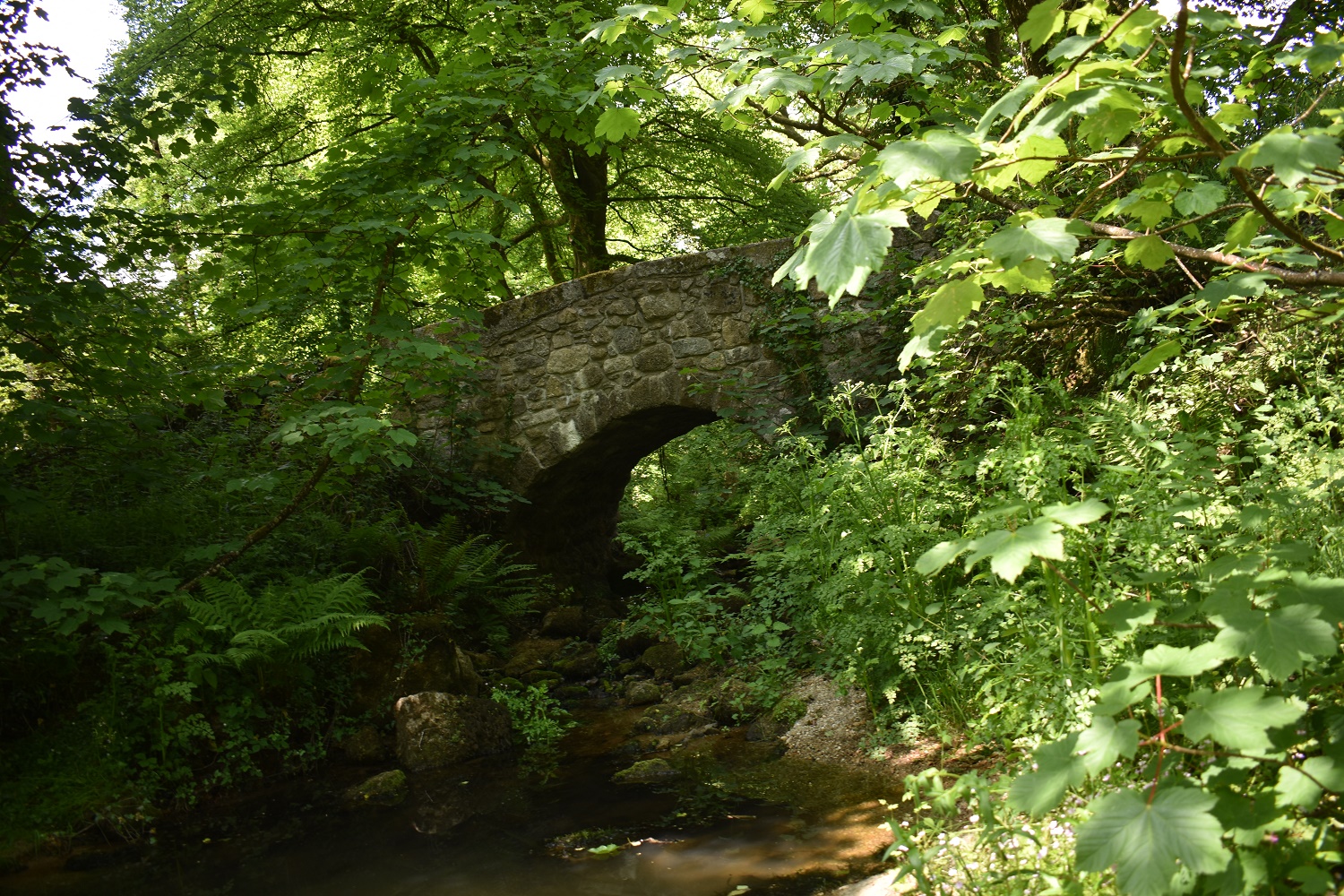 Manaton Clapper Bridge | treksandtors