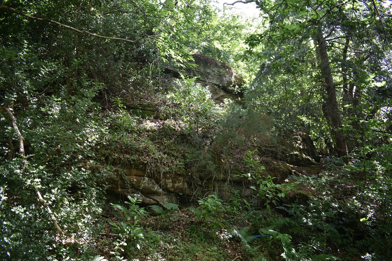 Rowdon Rock | treksandtors