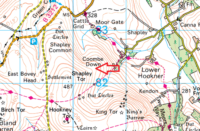 Coombe Down Tor | treksandtors