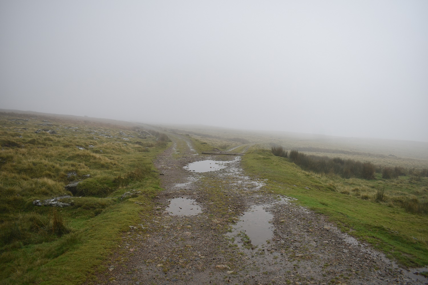 Sourton, Kitty Tor and the Corn Ridge | treksandtors