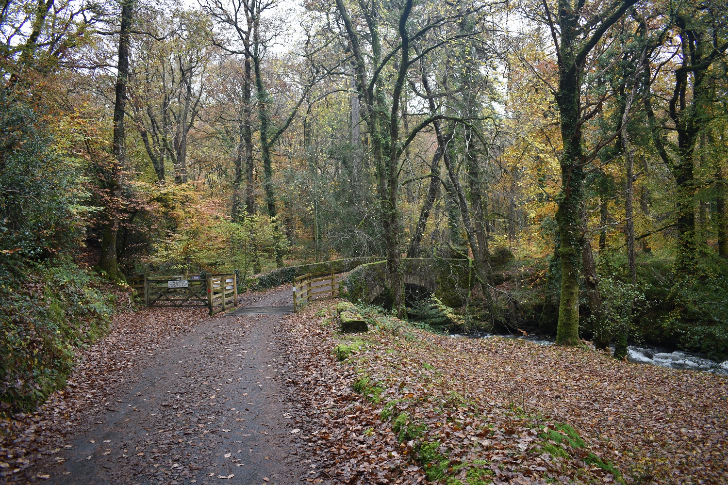 Buckland Bridge | treksandtors