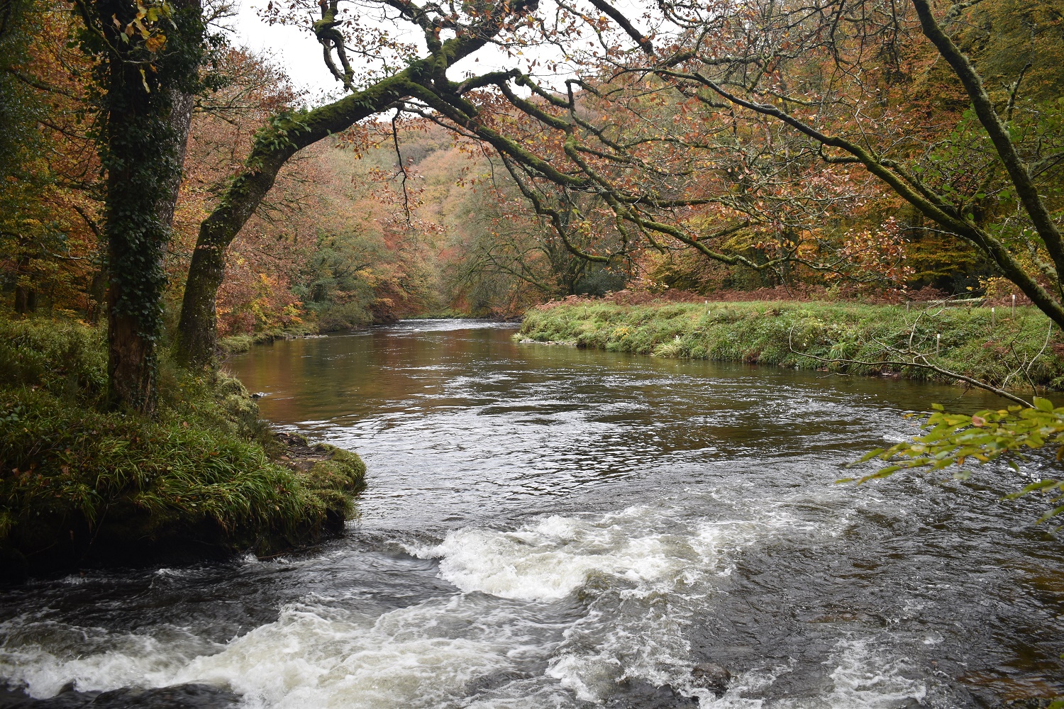 Buckland Bridge | treksandtors
