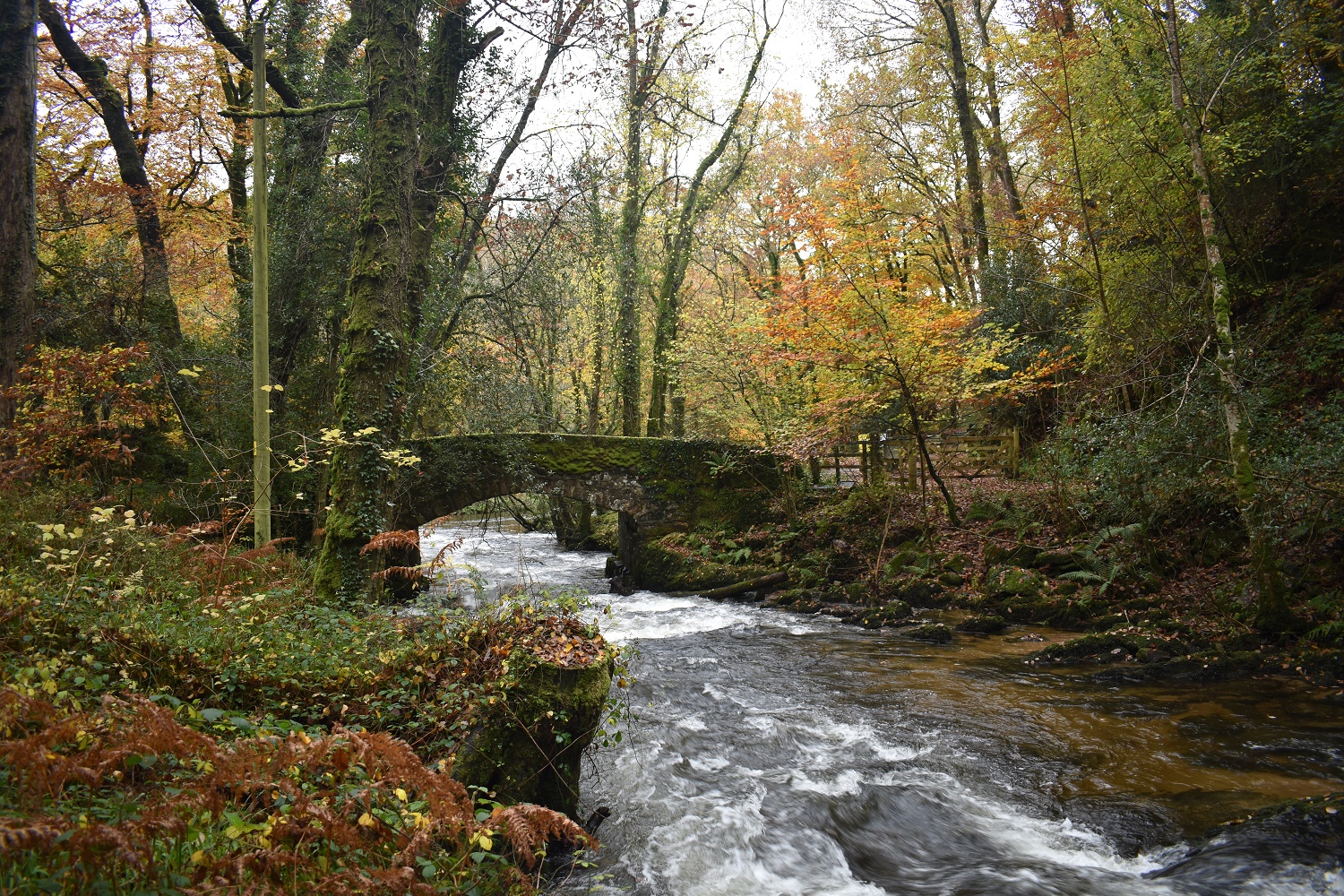 Buckland Bridge | treksandtors