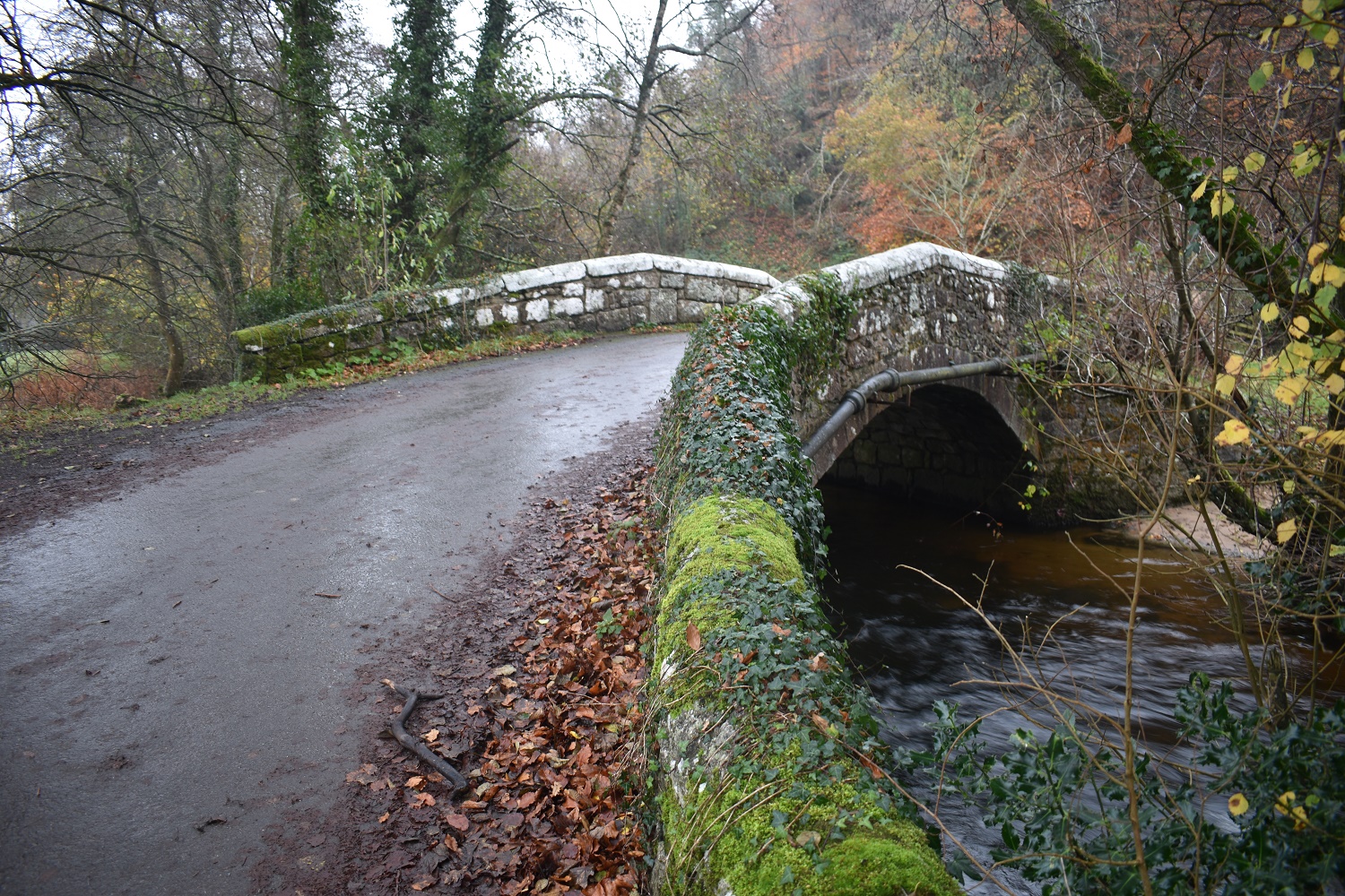 Drakeford Bridge | treksandtors