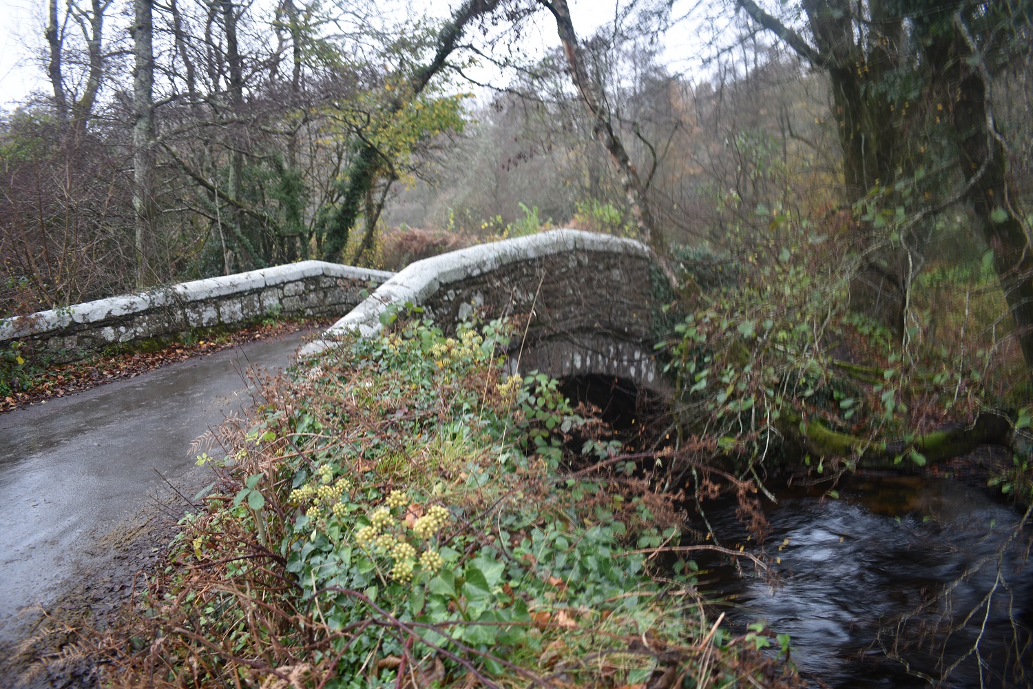 Drakeford Bridge | treksandtors