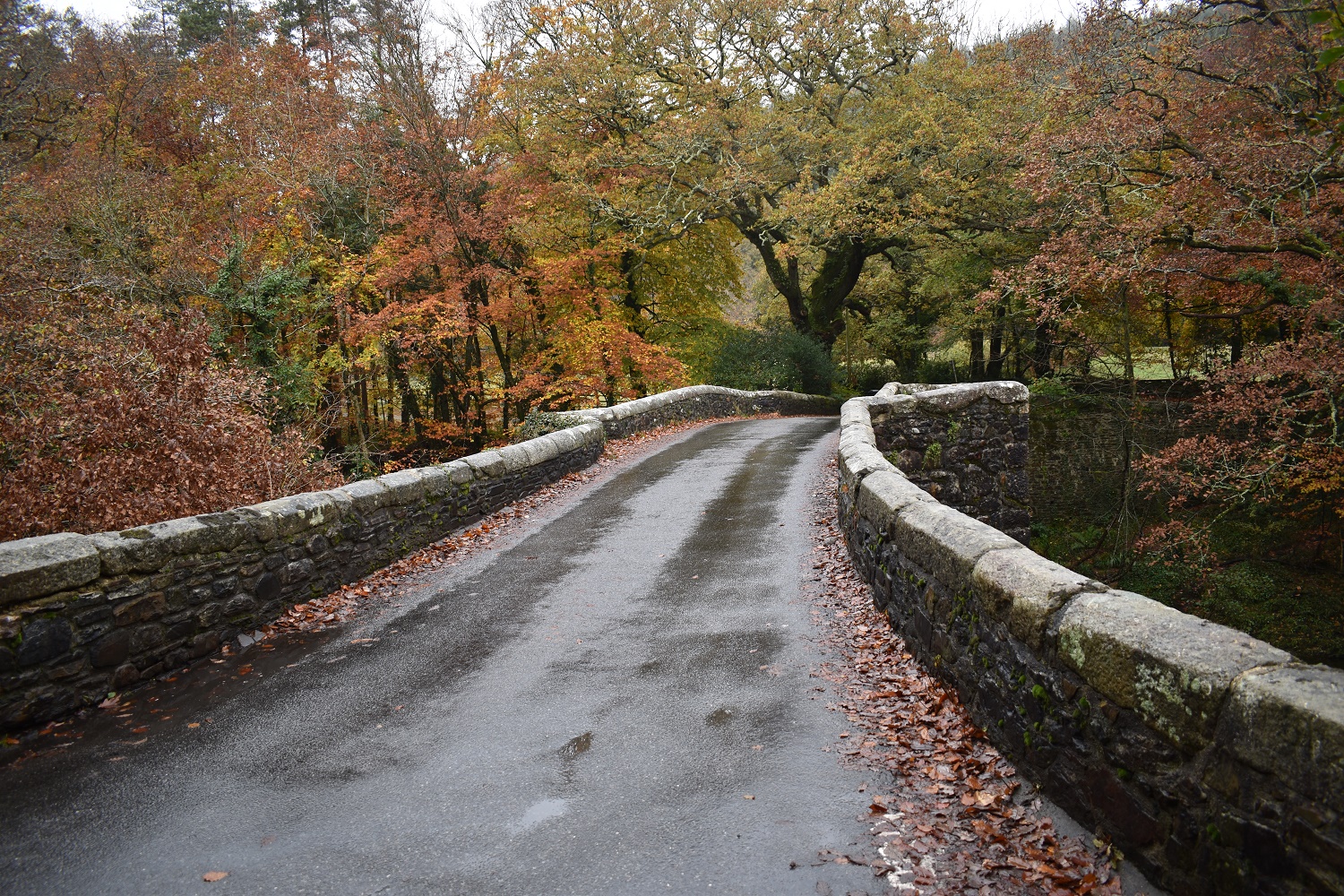 Holne Bridge | treksandtors