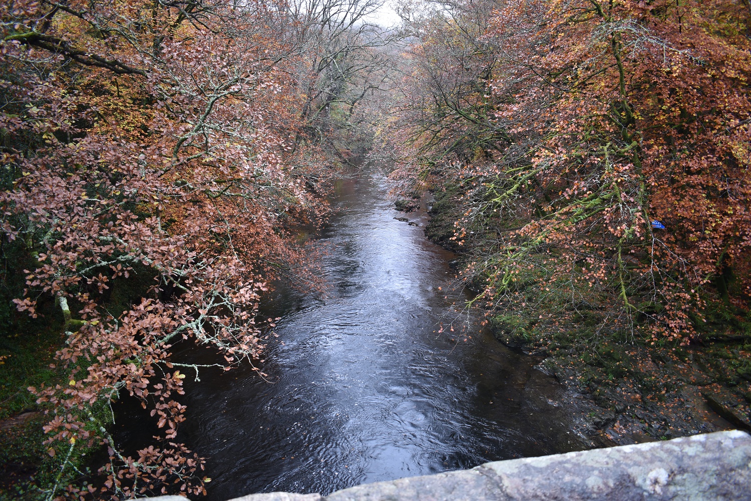 Holne Bridge | treksandtors