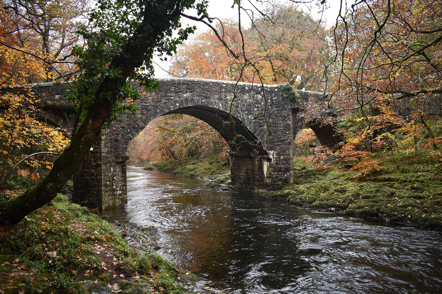 Holne Bridge | treksandtors
