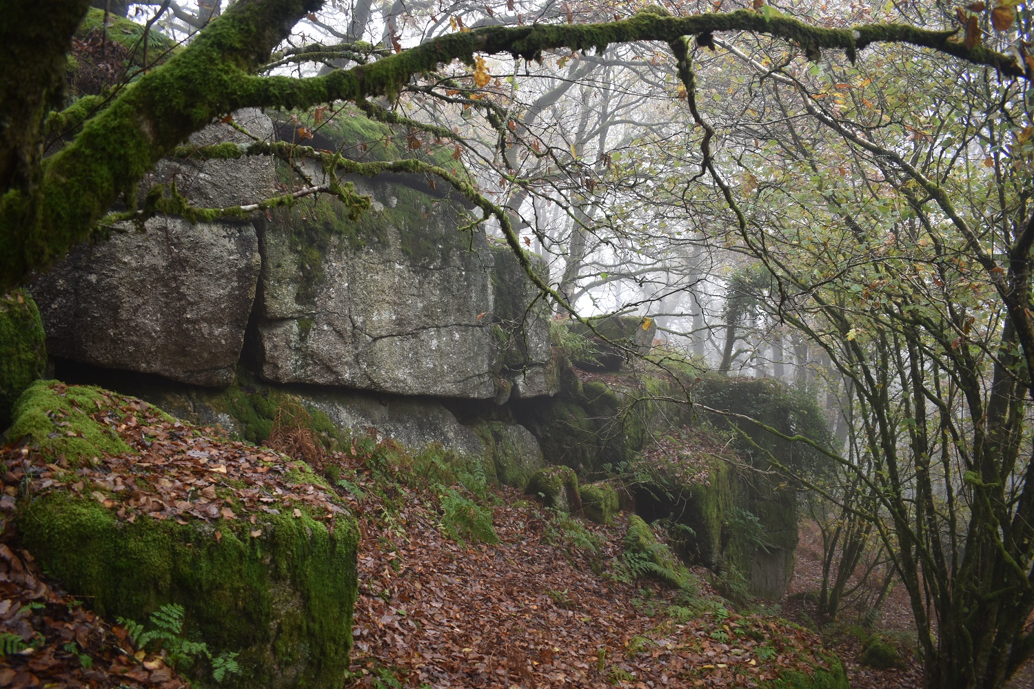 Logwell Rock | treksandtors