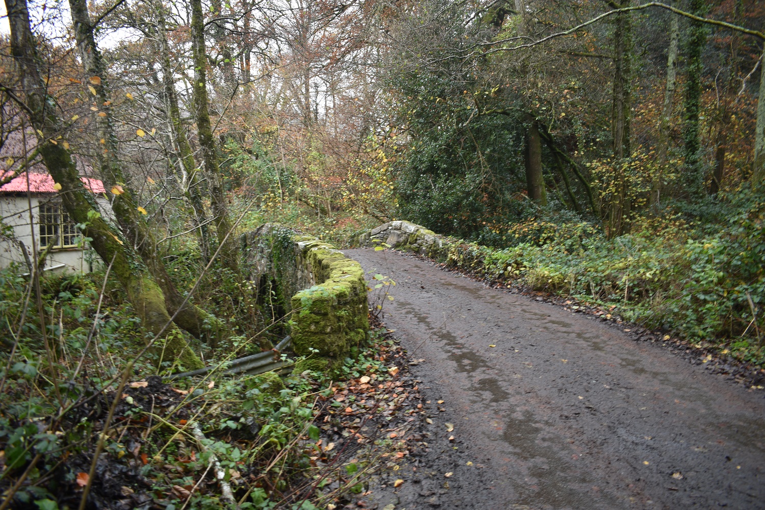 Packsaddle Bridge | treksandtors
