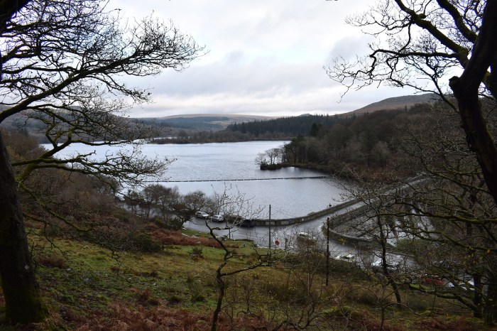 Around Burrator | treksandtors