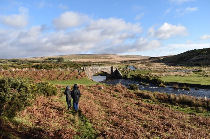 Around Shaugh Prior | treksandtors