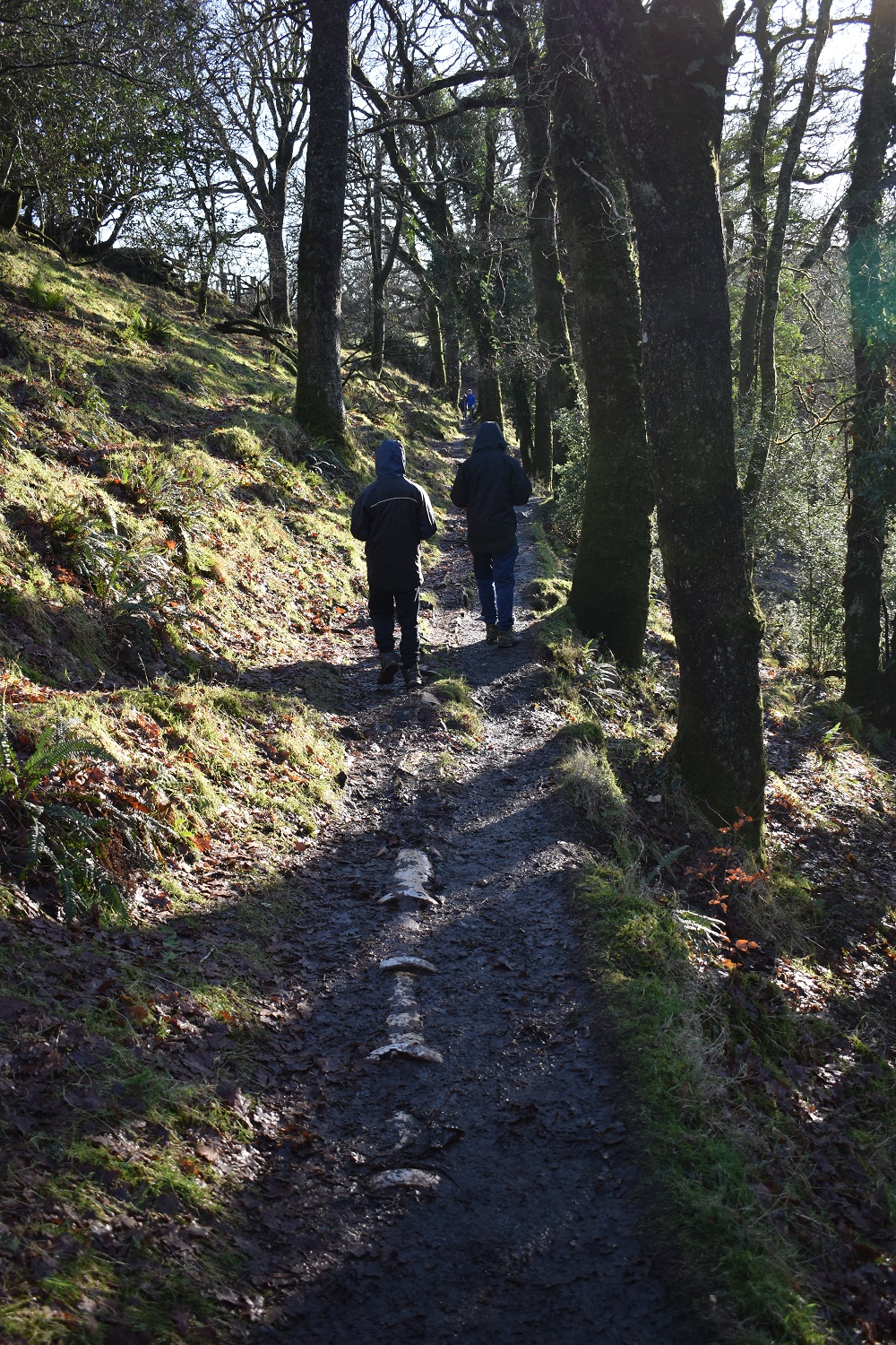 Around Shaugh Prior | treksandtors