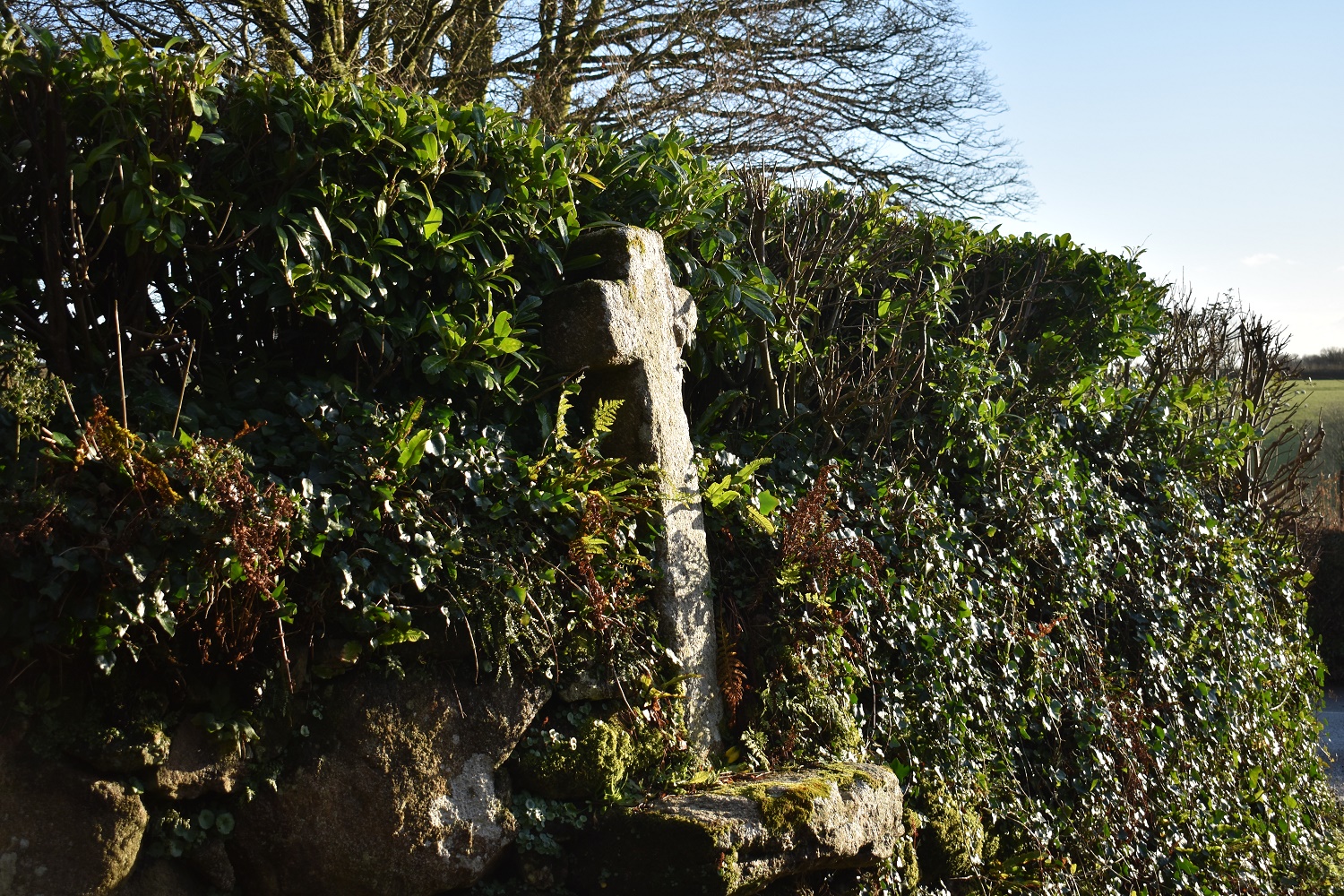 Shaugh Prior Cross | treksandtors